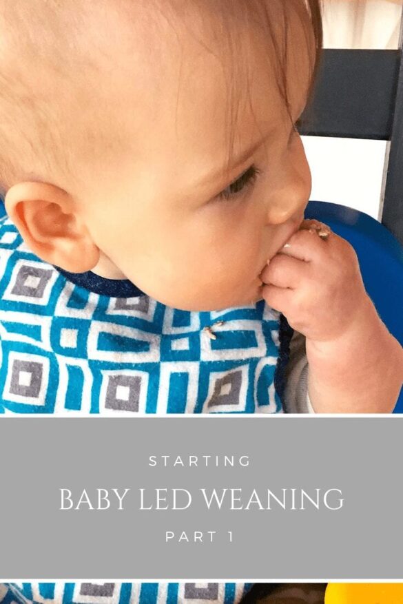 starting baby led weaning part 1 (baby #4!) – Fit Mama Real Food