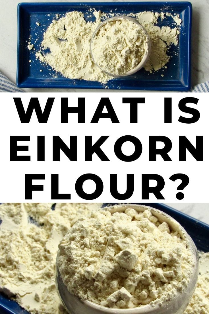 What is Einkorn? Learn All About This Ancient Grain. – Fit Mama Real Food