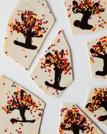 Easy Fall Bark Recipe - White Chocolate Autumn Trees – Fit Mama Real Food