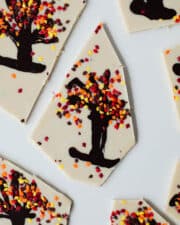 Easy Fall Bark Recipe - White Chocolate Autumn Trees – Fit Mama Real Food
