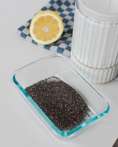 The Ultimate Guide to Chia Pudding – Fit Mama Real Food